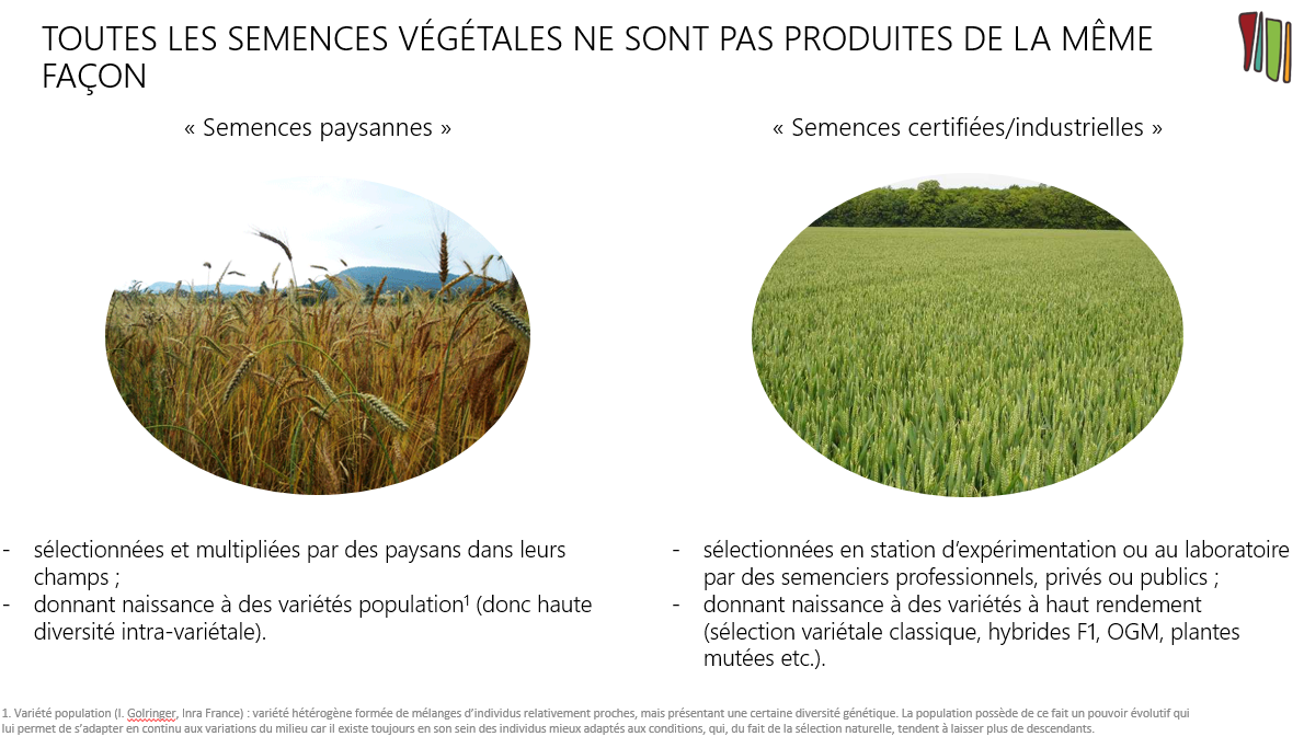 Seeds ? What are we talking about ? – Seed Tour